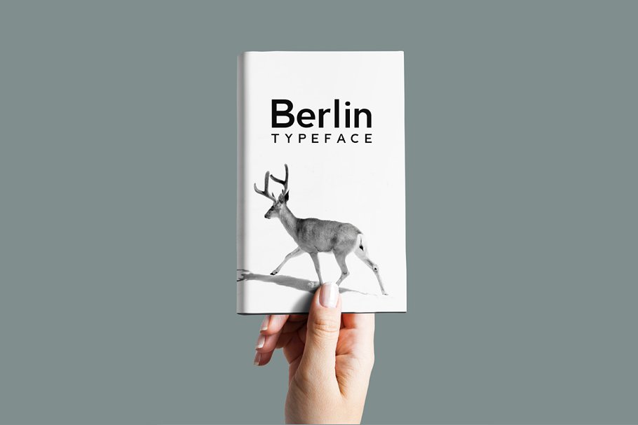 Berlin Light Font | xFonts.pro