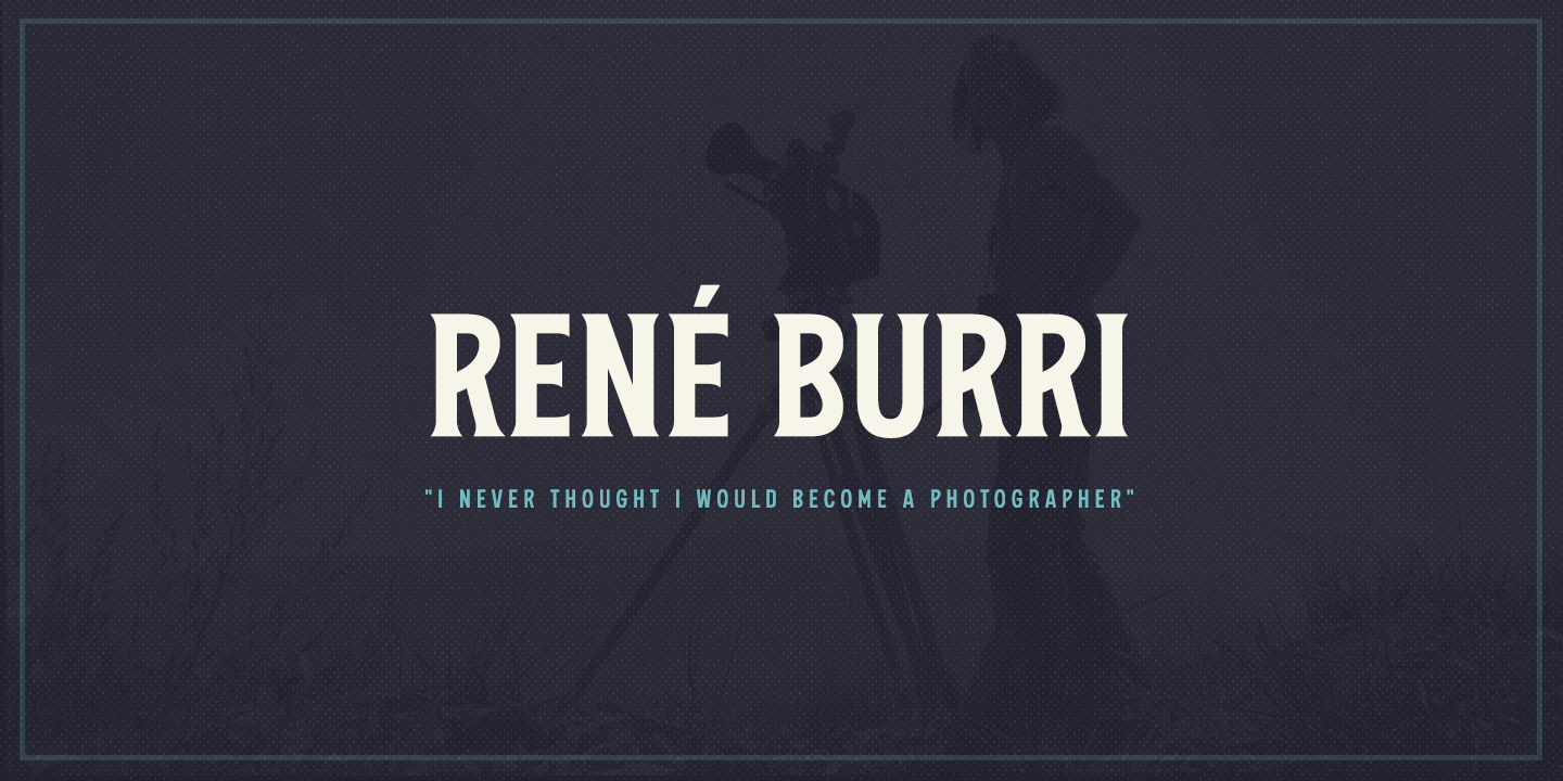 The Bystander Collection Serif Medium Font | xFonts.pro